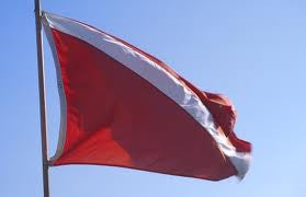 Skin Diver Flags For Sale! $5 Domestic Shipping!